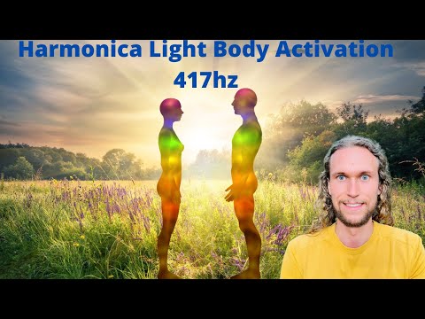 Rapé kaufen, Rapé Shop